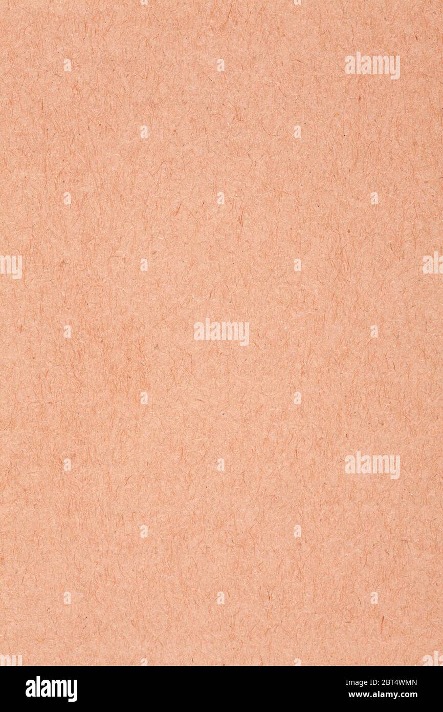 textured, sheet of paper, paper, backdrop, background, cardboard ...