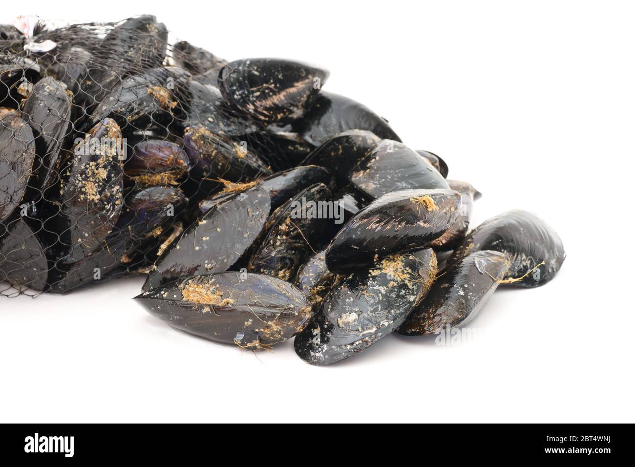 isolated, kitchen, cuisine, boil, cooks, boiling, cooking, seafood ...