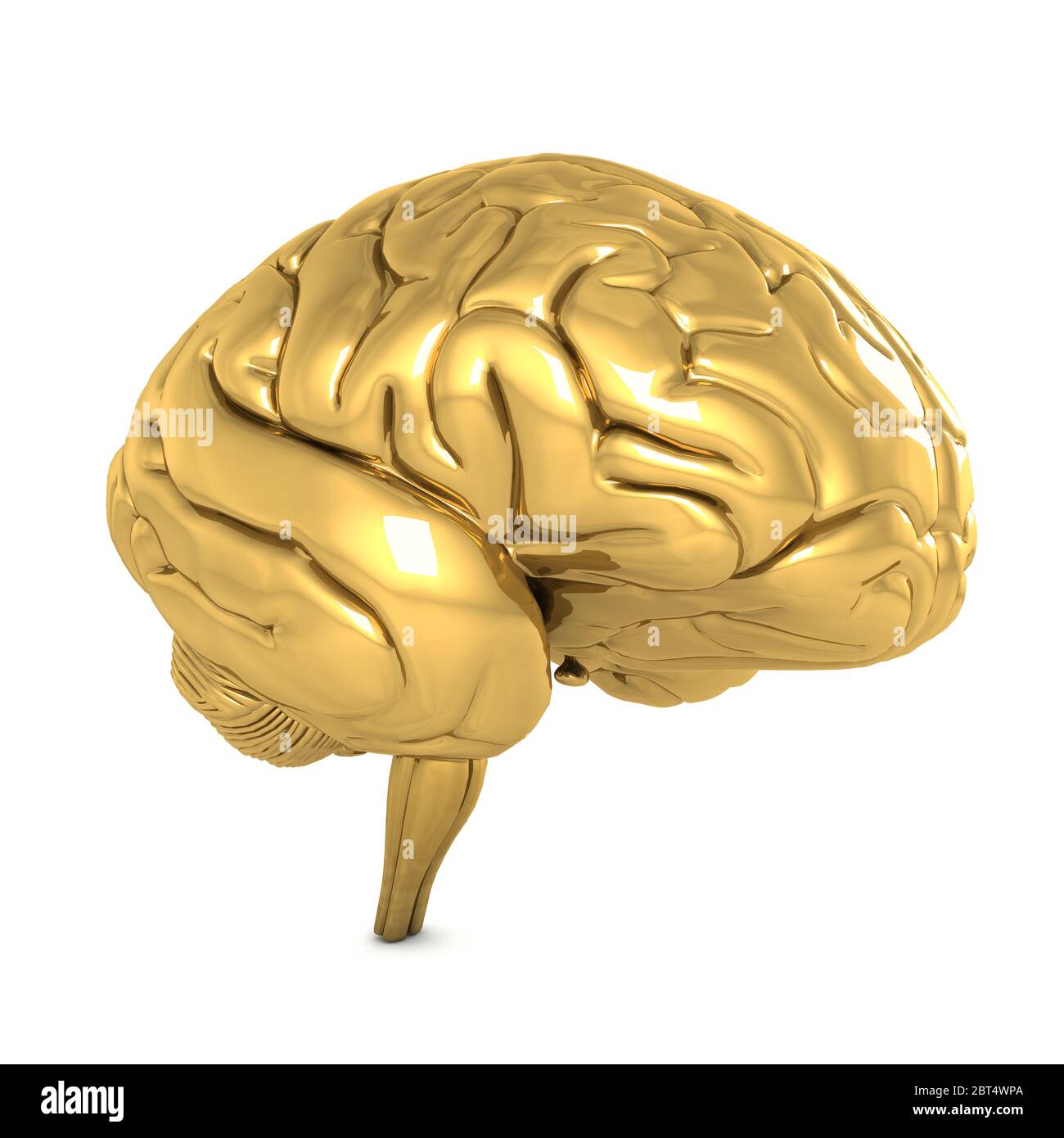 model, design, project, concept, plan, draft, creativity, brain ...