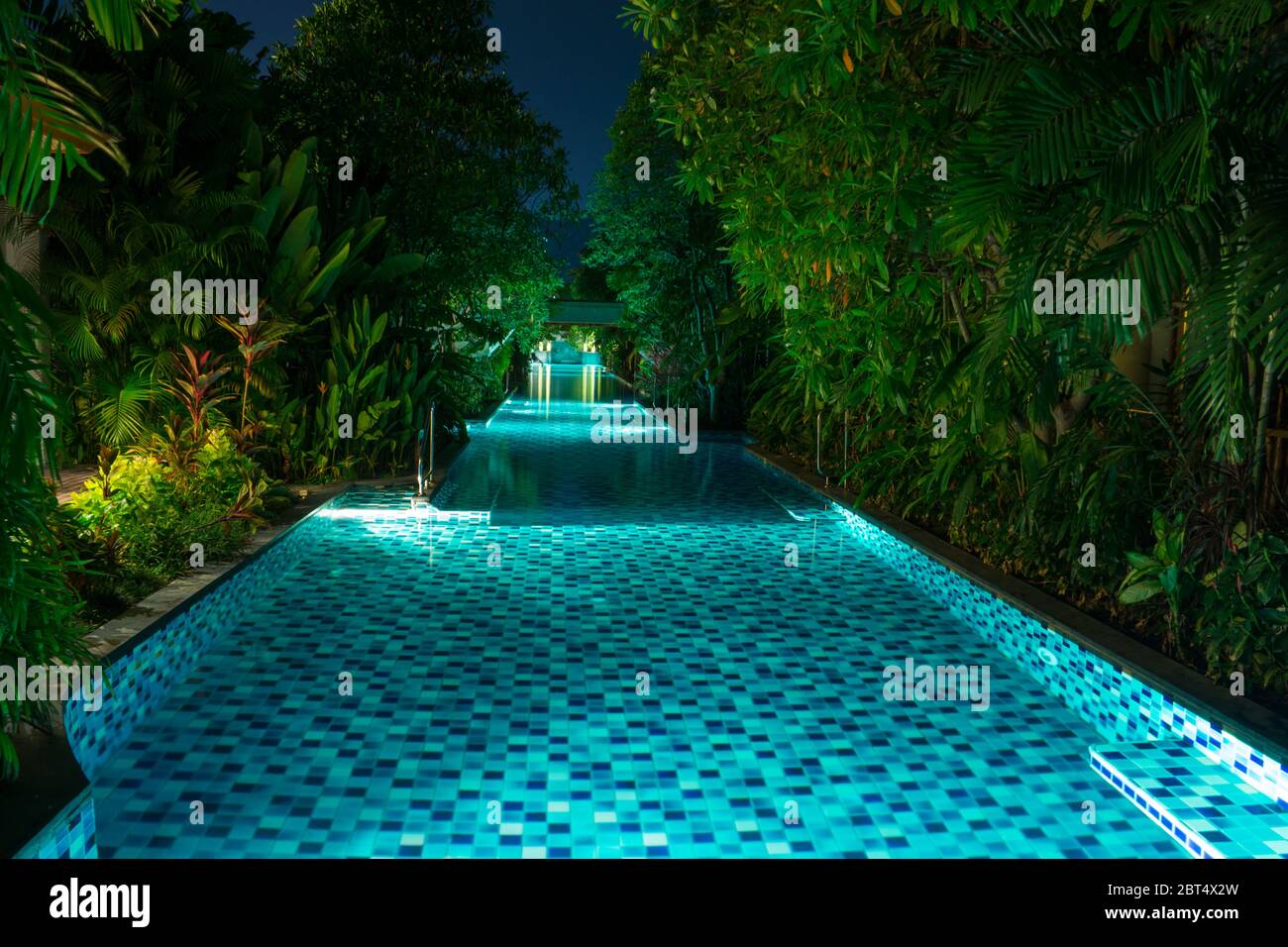 Empty, beautifully illuminated swimming pool, surrounded by green palm ...