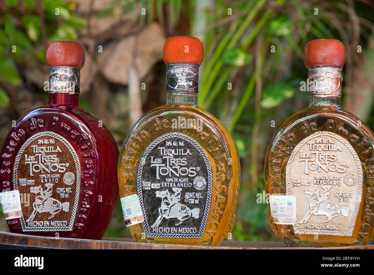Tequila bottles on Cozumel Island, Quintana Roo, Mexico Stock Photo - Alamy