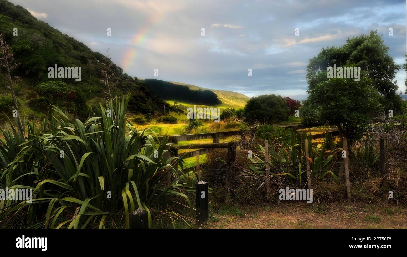 Tree under a rainbow hi-res stock photography and images - Alamy