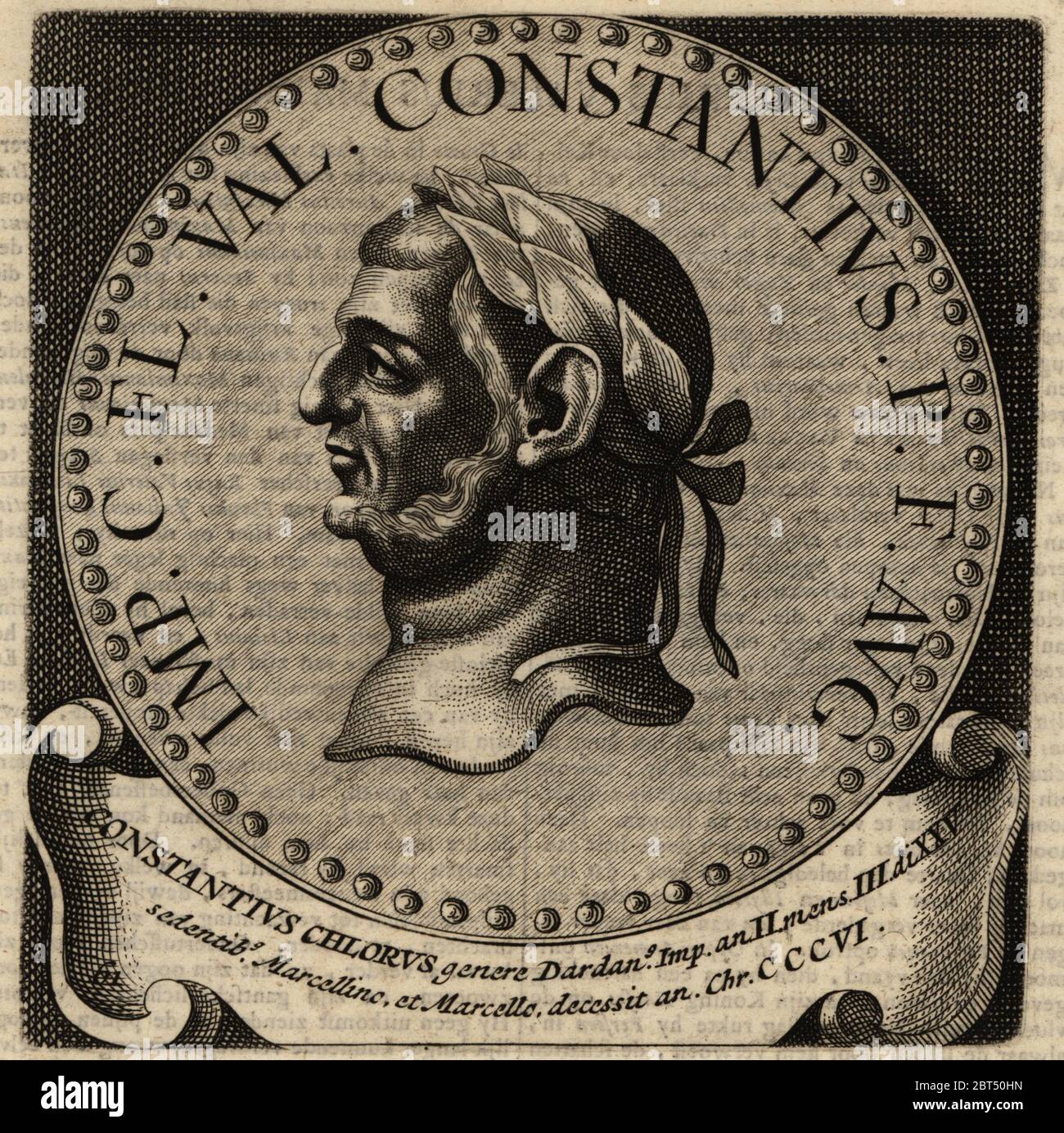 Constantius chlorus hi-res stock photography and images - Alamy