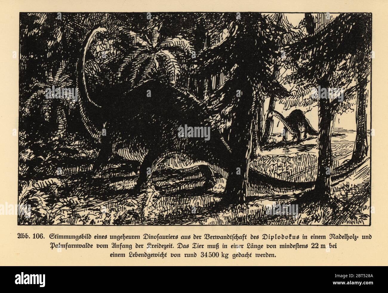 Reconstruction of a Diplodocus genus dinosaur in a coniferous and cycad ...