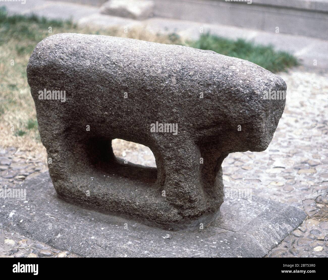 TORO IBERICO. Location: EXTERIOR. AVILA. SPAIN Stock Photo - Alamy