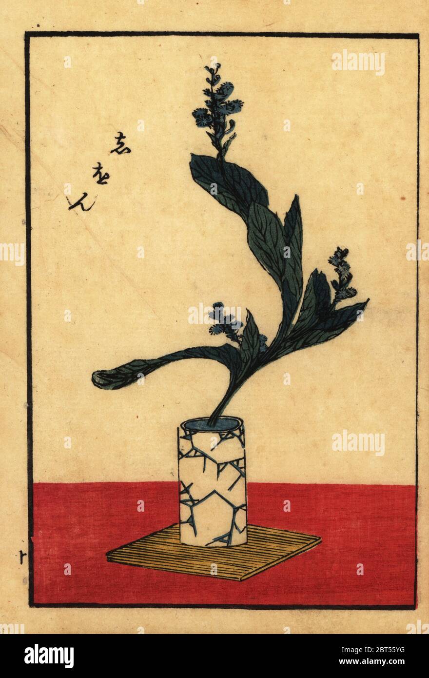 Japanese flower arrangement with daisy, leaf, vase and tray ...