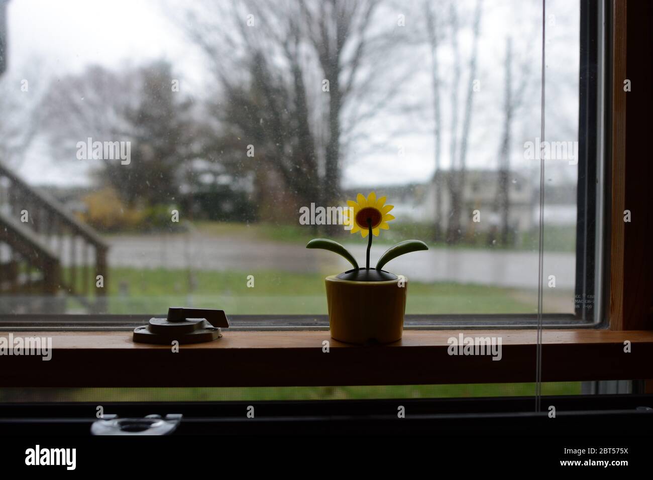 Solar flower toy hi-res stock photography and images - Alamy