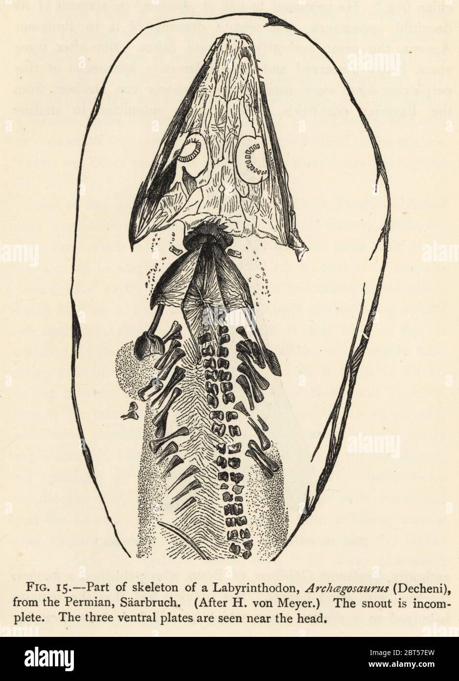 Saarbruch hi-res stock photography and images - Alamy