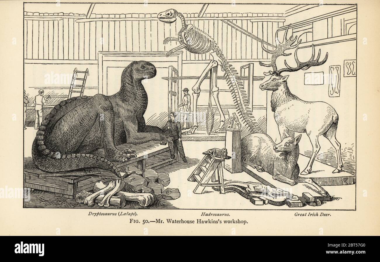 The Dinosaurs Of Waterhouse Hawkins