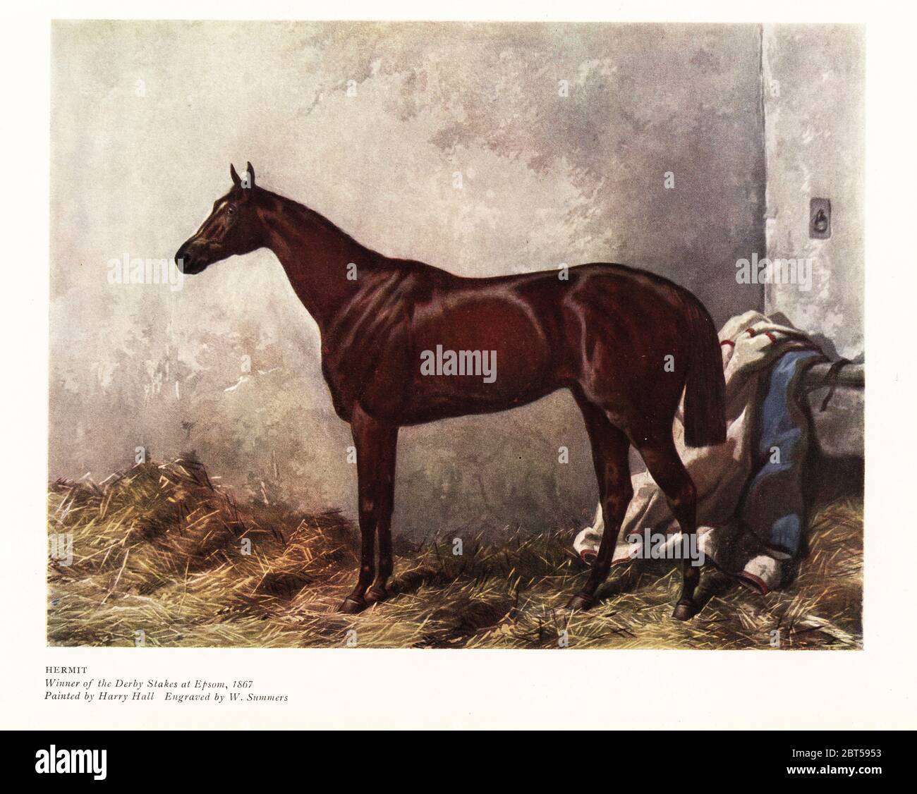 Hermit, winner of the Epsom Derby 1867. Winner of eight races and later ...