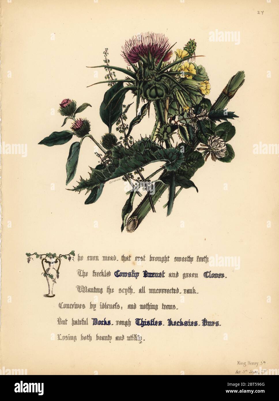 Cowslip Burnet, Clover, Docks, Thistles, Kecksies and Burs (King Henry ...