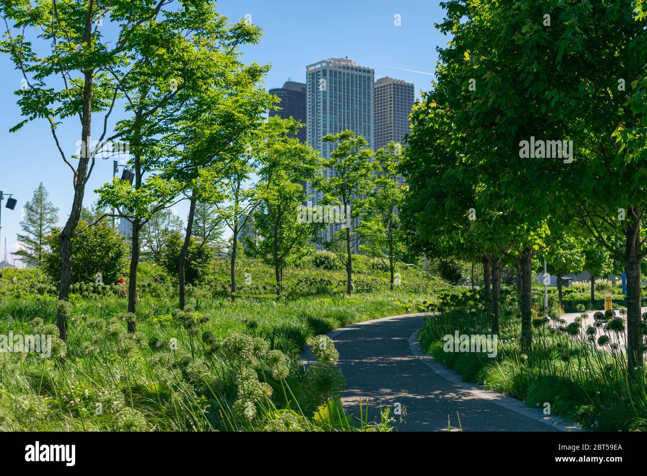 Green Curving Trail at a Park with Residential Buildings in the ...