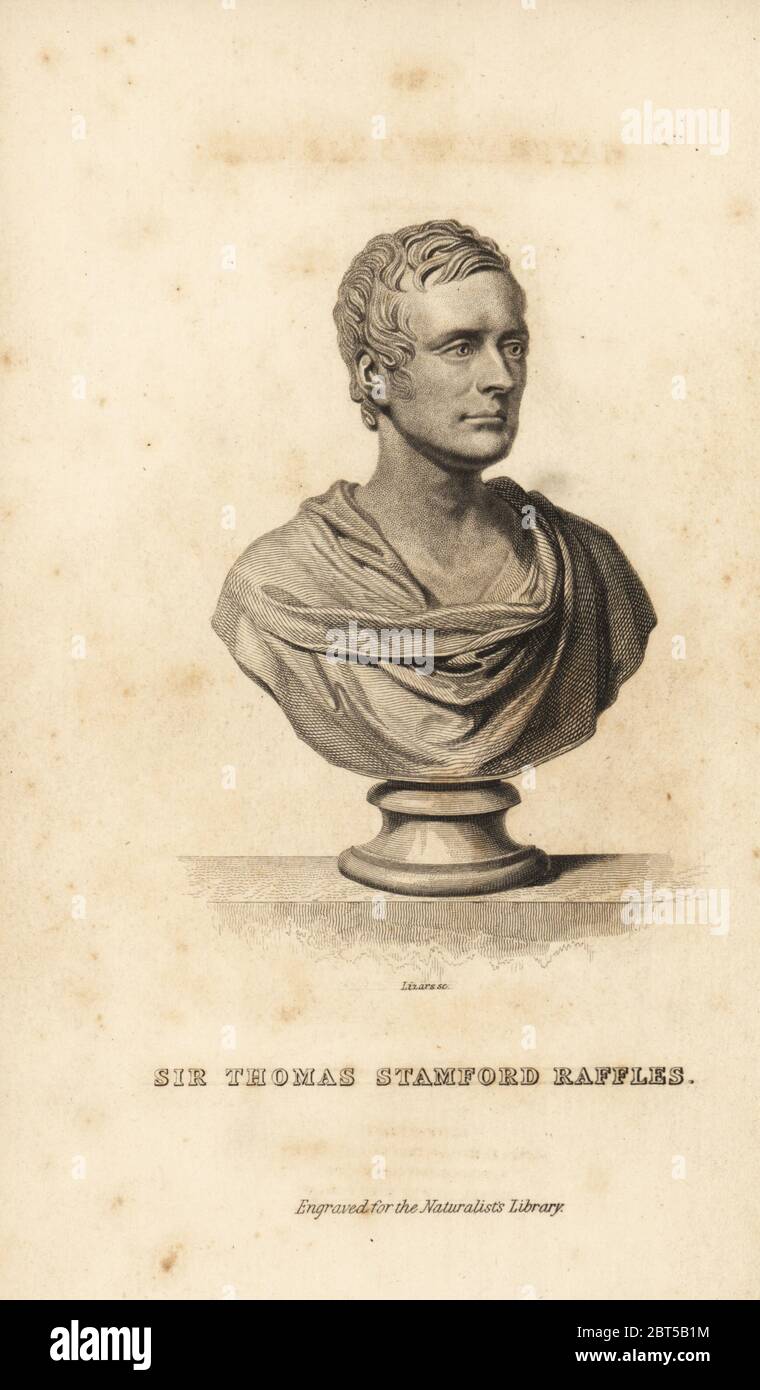 Sir thomas stanford raffles hi-res stock photography and images - Alamy