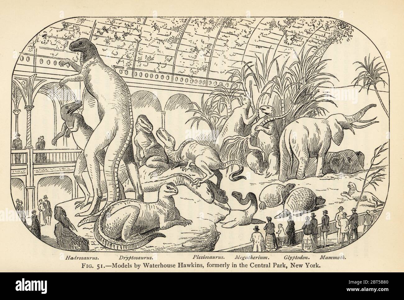 Hadrosaurus hi-res stock photography and images - Alamy