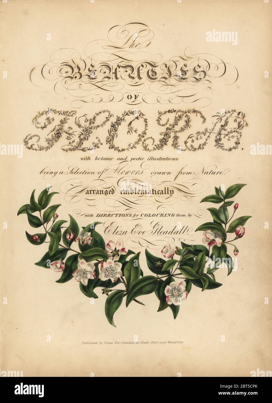 Calligraphic title page with botanical vignette. Handcoloured ...