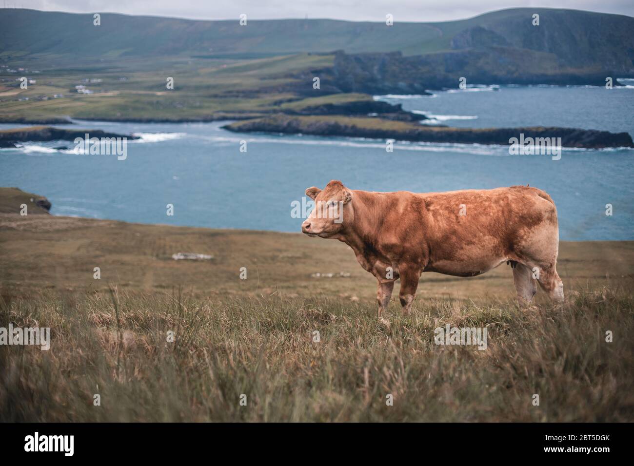 Standing water rural canada hi-res stock photography and images - Alamy