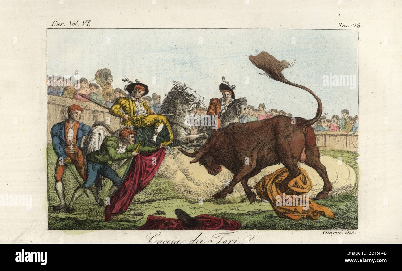 Spanish bullfight scene, 18th century. Two picadors subdue a bull with ...