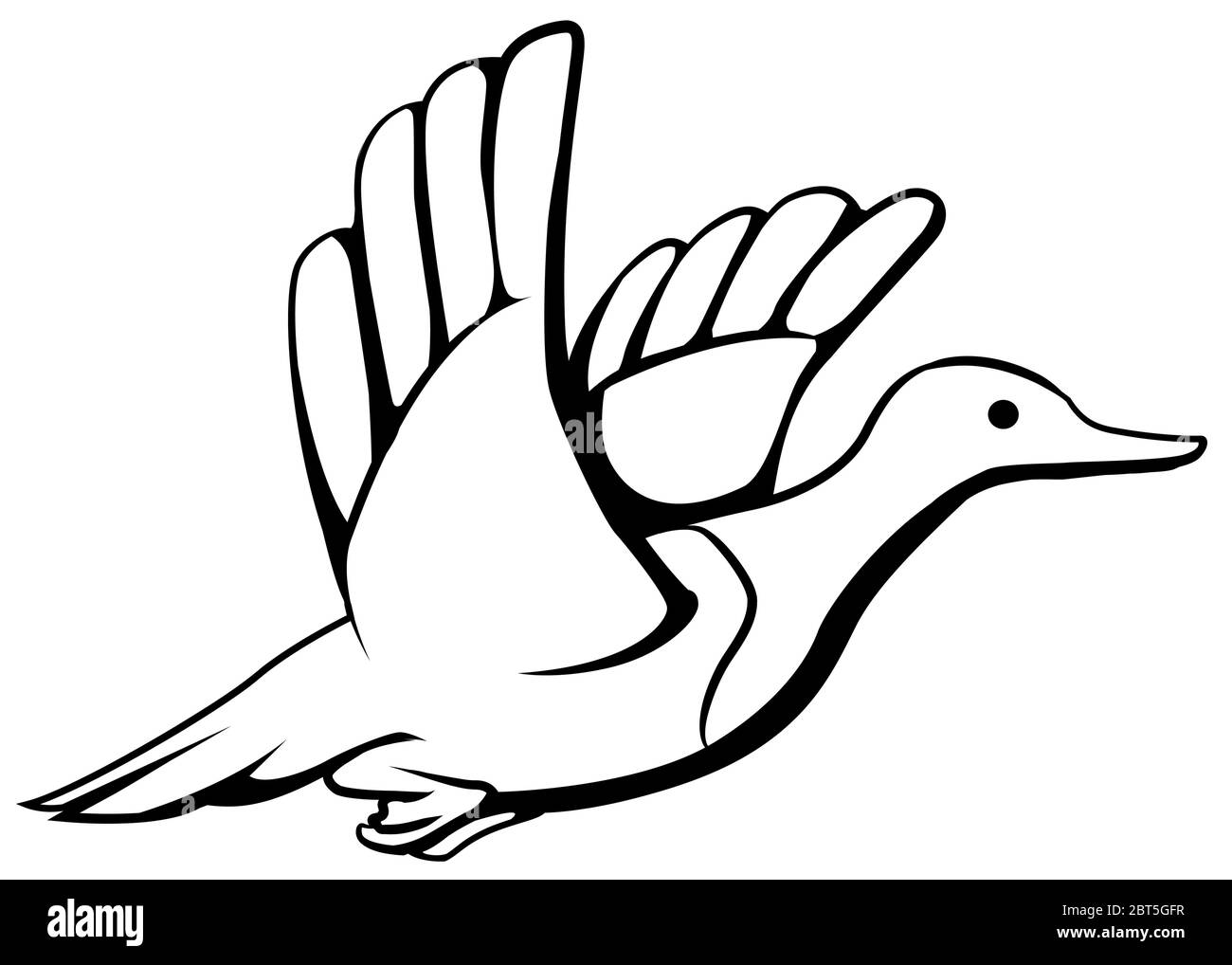 Duck flying cartoon line drawing, vector, horizontal, black and white ...