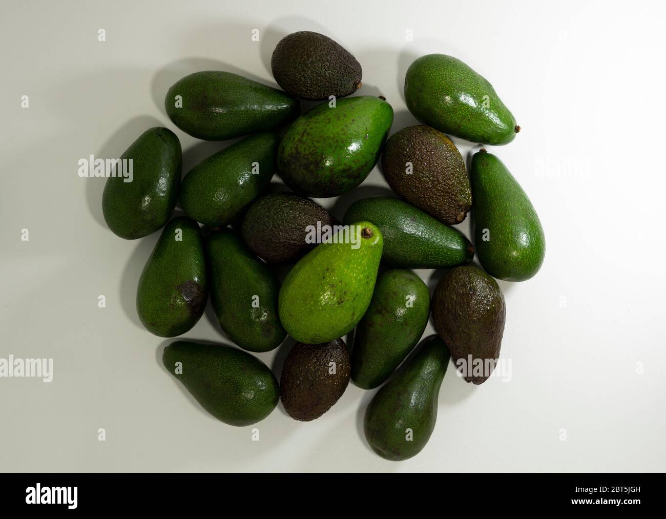 A bunch of ripe avocado fruits in different shades of green and brown ...