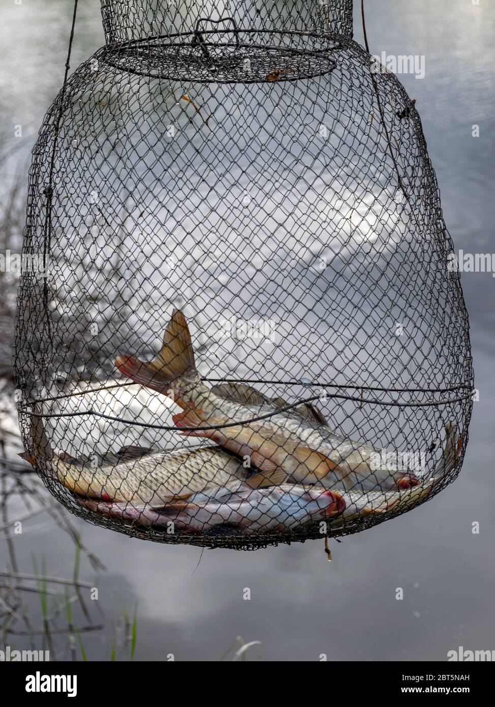 picture with fish net in the water, fishing as a leisure concept, water ...