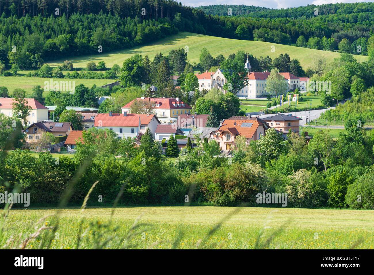 Schloss mayerling castle in wienerwald vienna woods hi-res stock ...