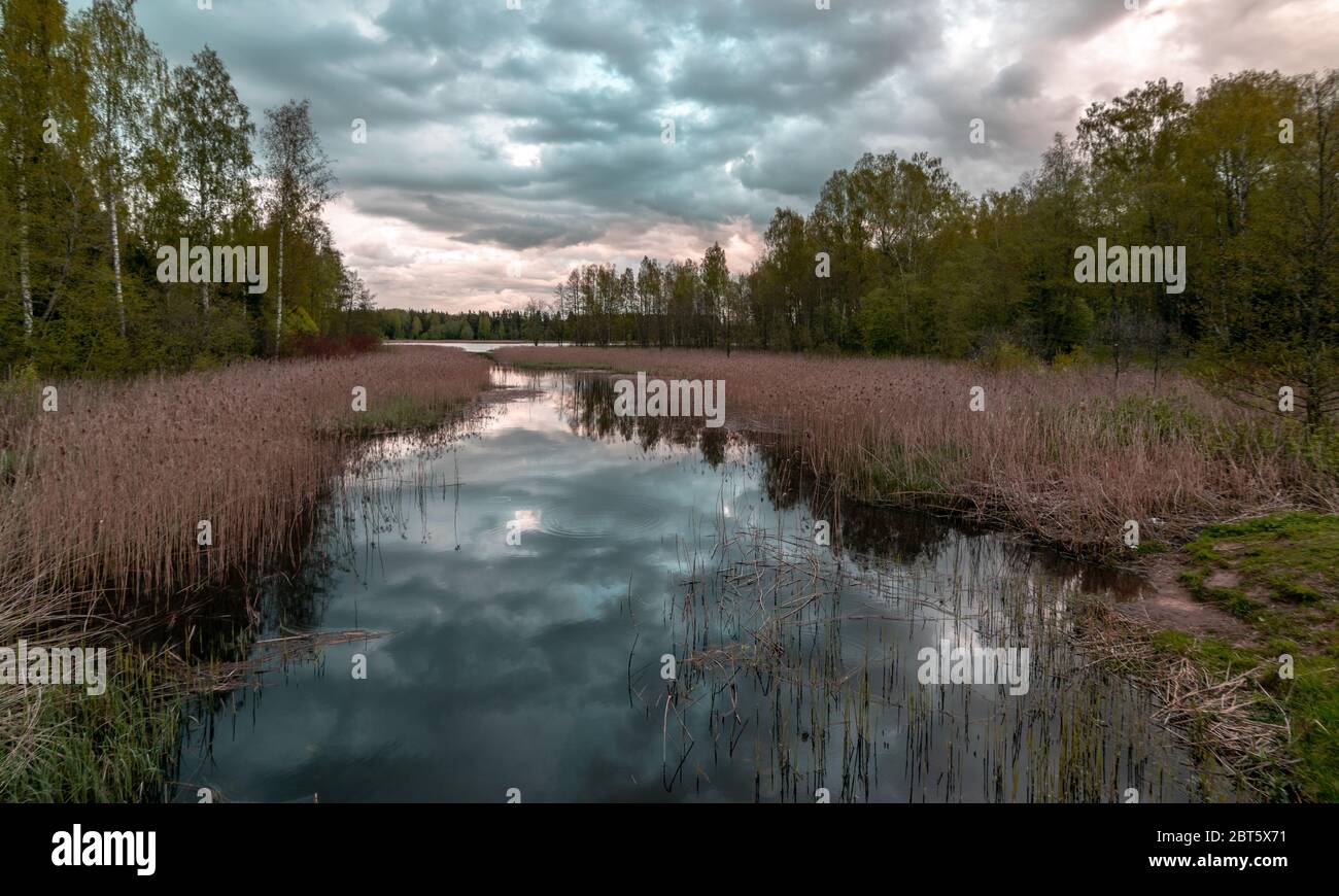colorful spring landscape with beautiful sky, clouds and tree ...