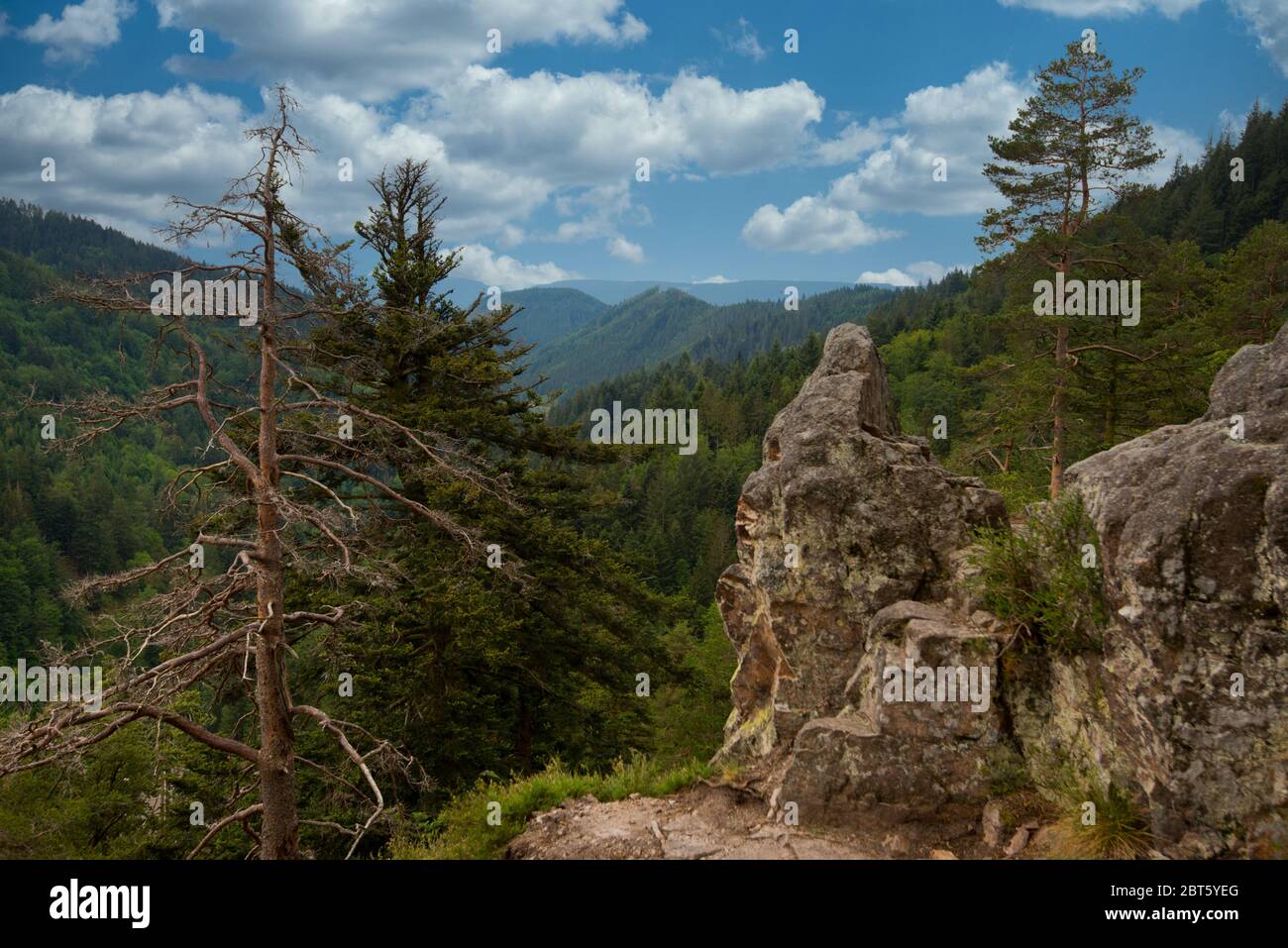 landscape in the black forest near oppenau in germany Stock Photo - Alamy