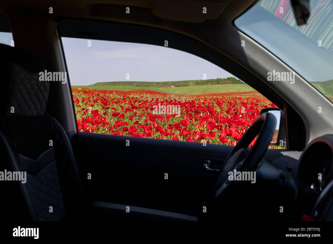 Car poppy hi-res stock photography and images - Alamy