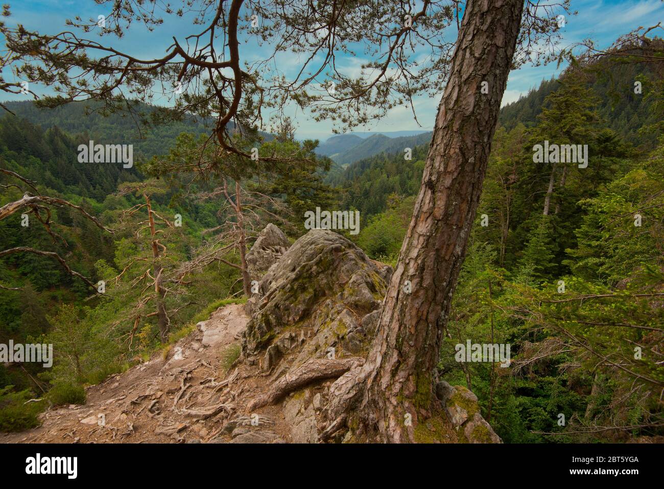 landscape in the black forest near oppenau in germany Stock Photo - Alamy