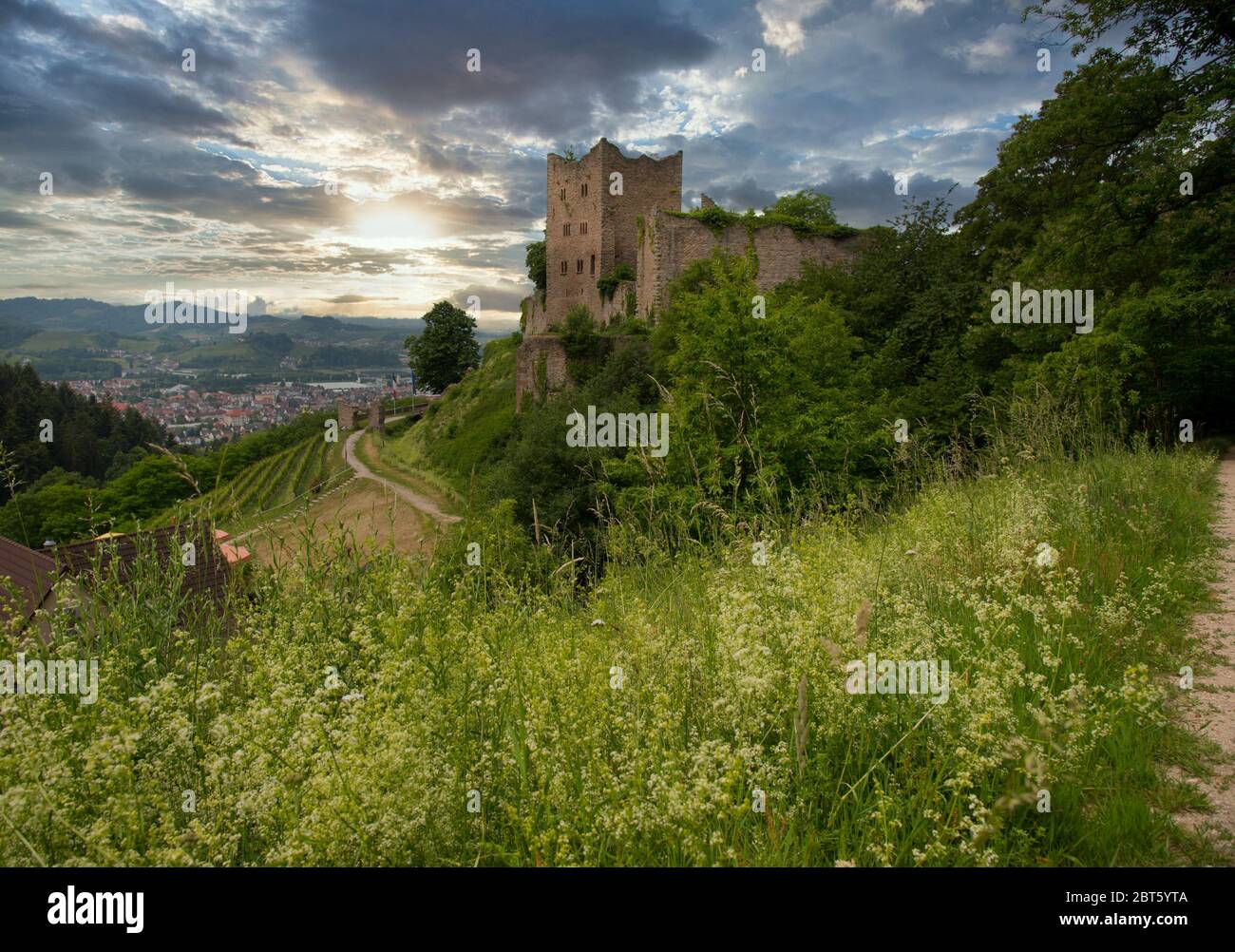 castle ruin Schauenburg in the heights of oberkirch in the black forest ...
