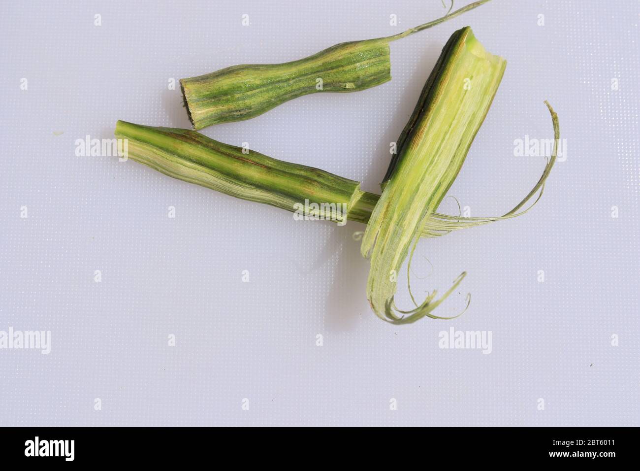 Drumstick Pods or Moringa Oleifera Poss Vegetable Isolated on White ...