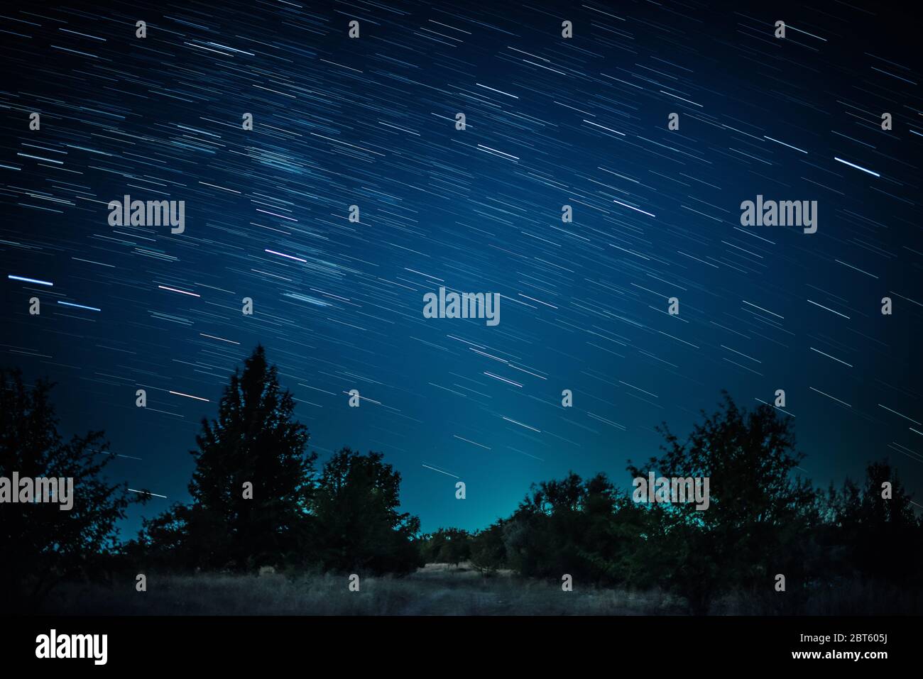 Grim forest hi-res stock photography and images - Alamy