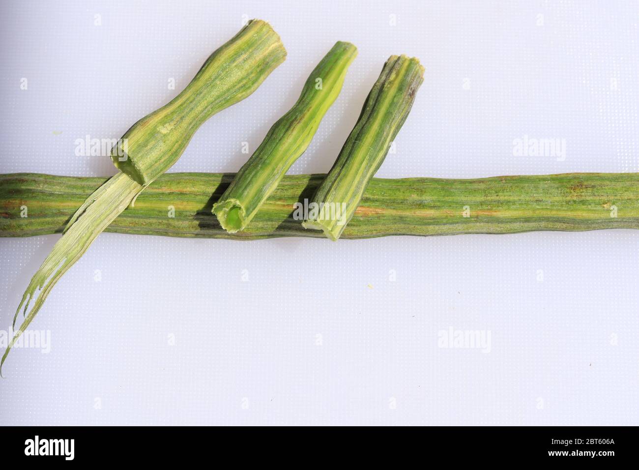 Drumstick Pods or Moringa Oleifera Poss Vegetable Isolated on White ...