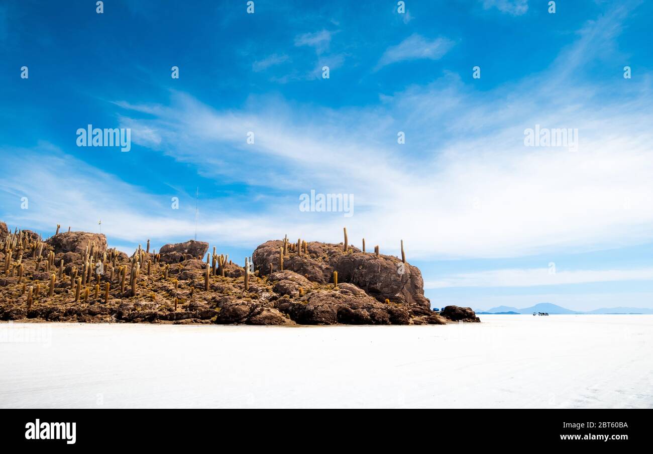 Beautiful sunshine Cactus island lsndscape, Salar de Uyuni Stock Photo ...