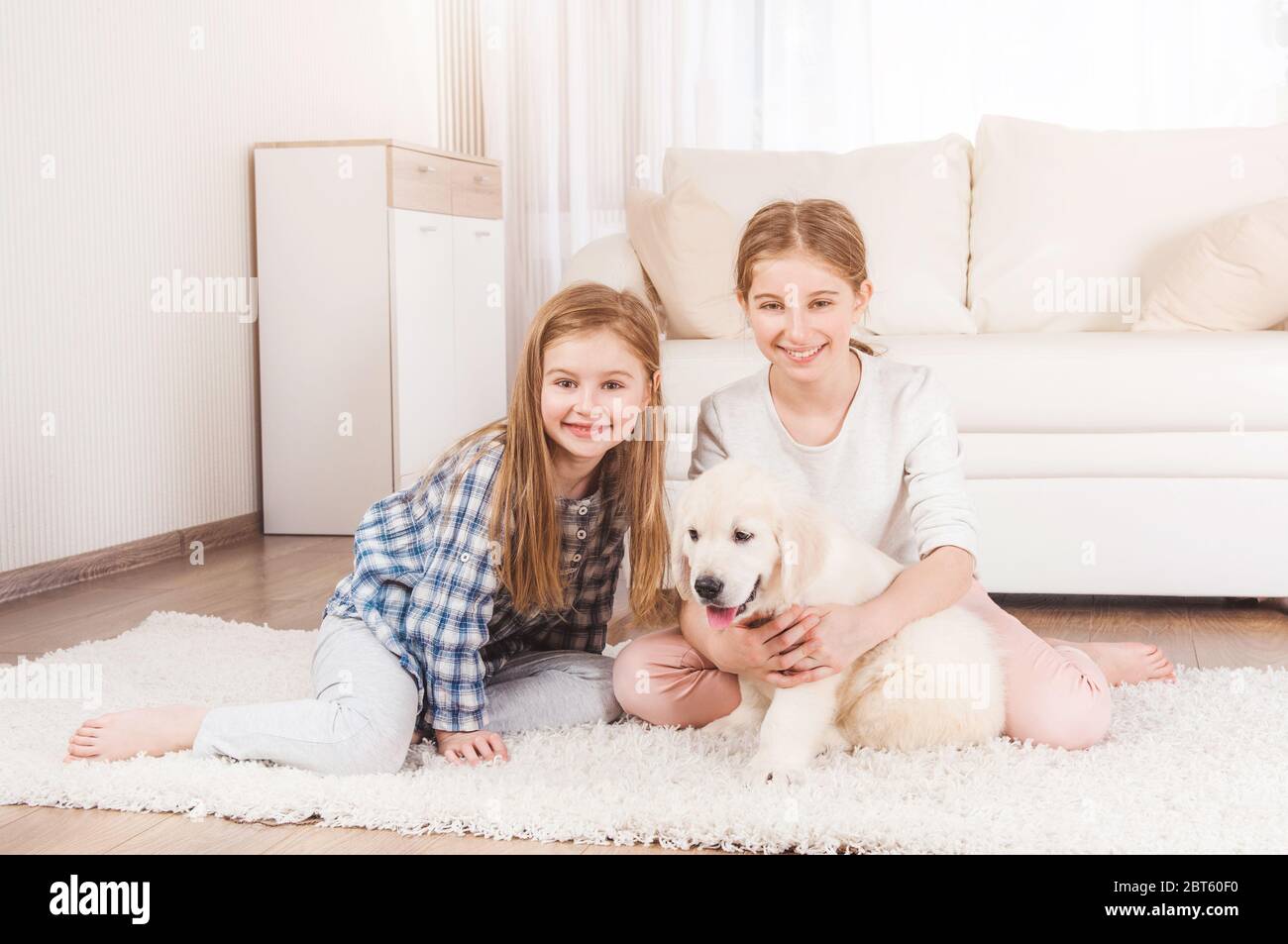 Puppy sisters hi-res stock photography and images - Alamy