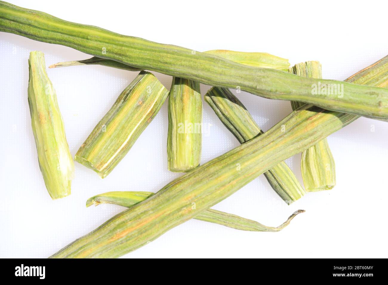 Drumstick Pods or Moringa Oleifera Poss Vegetable Isolated on White ...