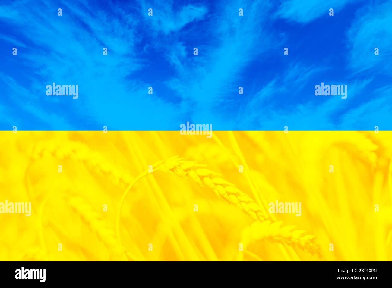 Beatiful flag of Ukraine, symbolizing sky and fields, wallpaper Stock ...