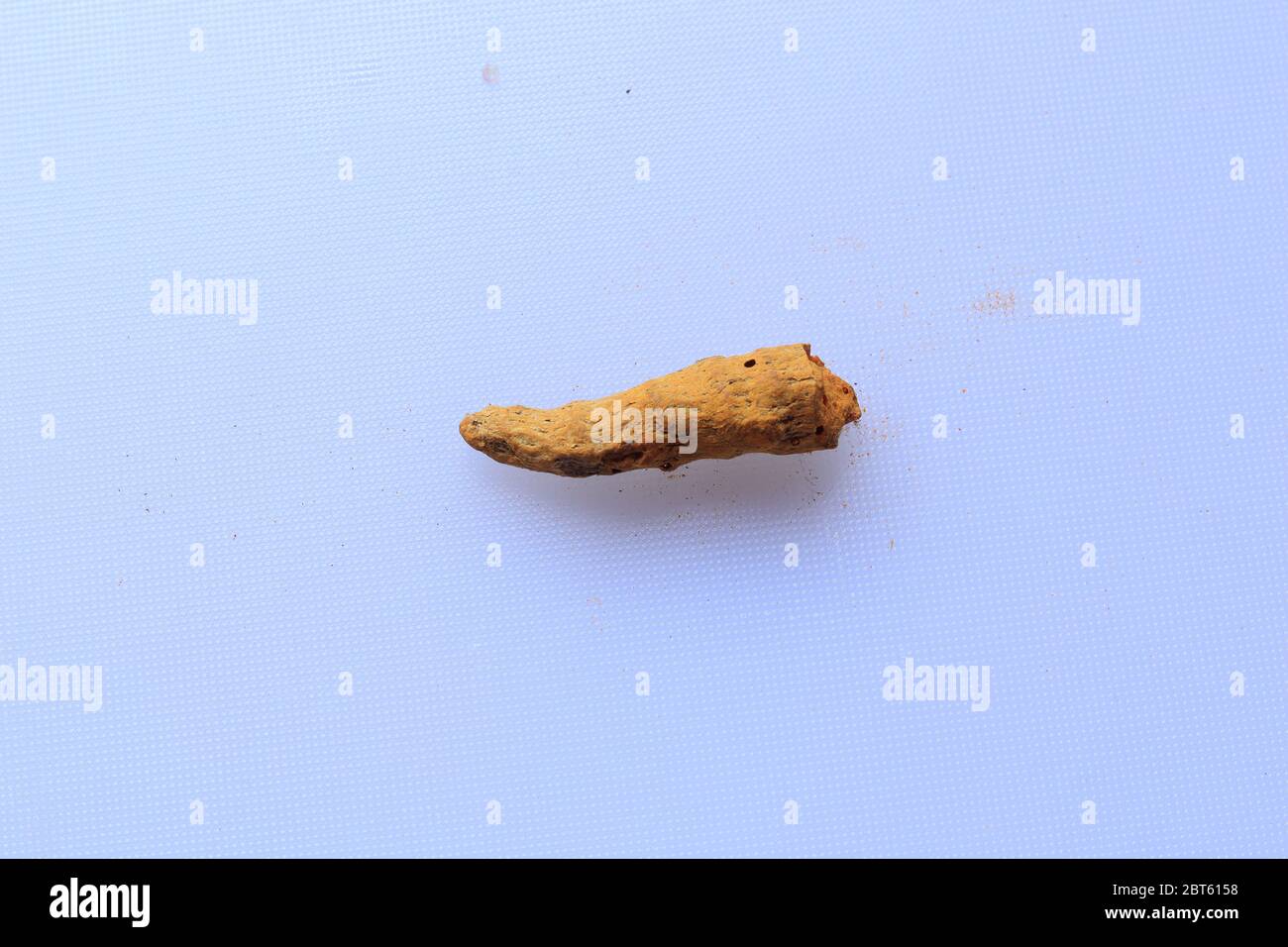 Fresh Dried Turmeric root isolated on a white background Stock Photo ...