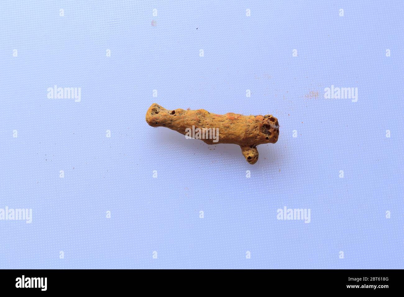 Fresh Dried Turmeric root isolated on a white background Stock Photo ...