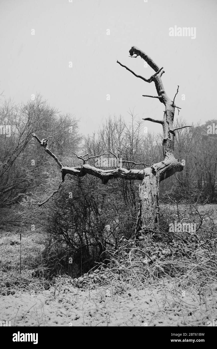 Snow lighting Black and White Stock Photos & Images - Alamy