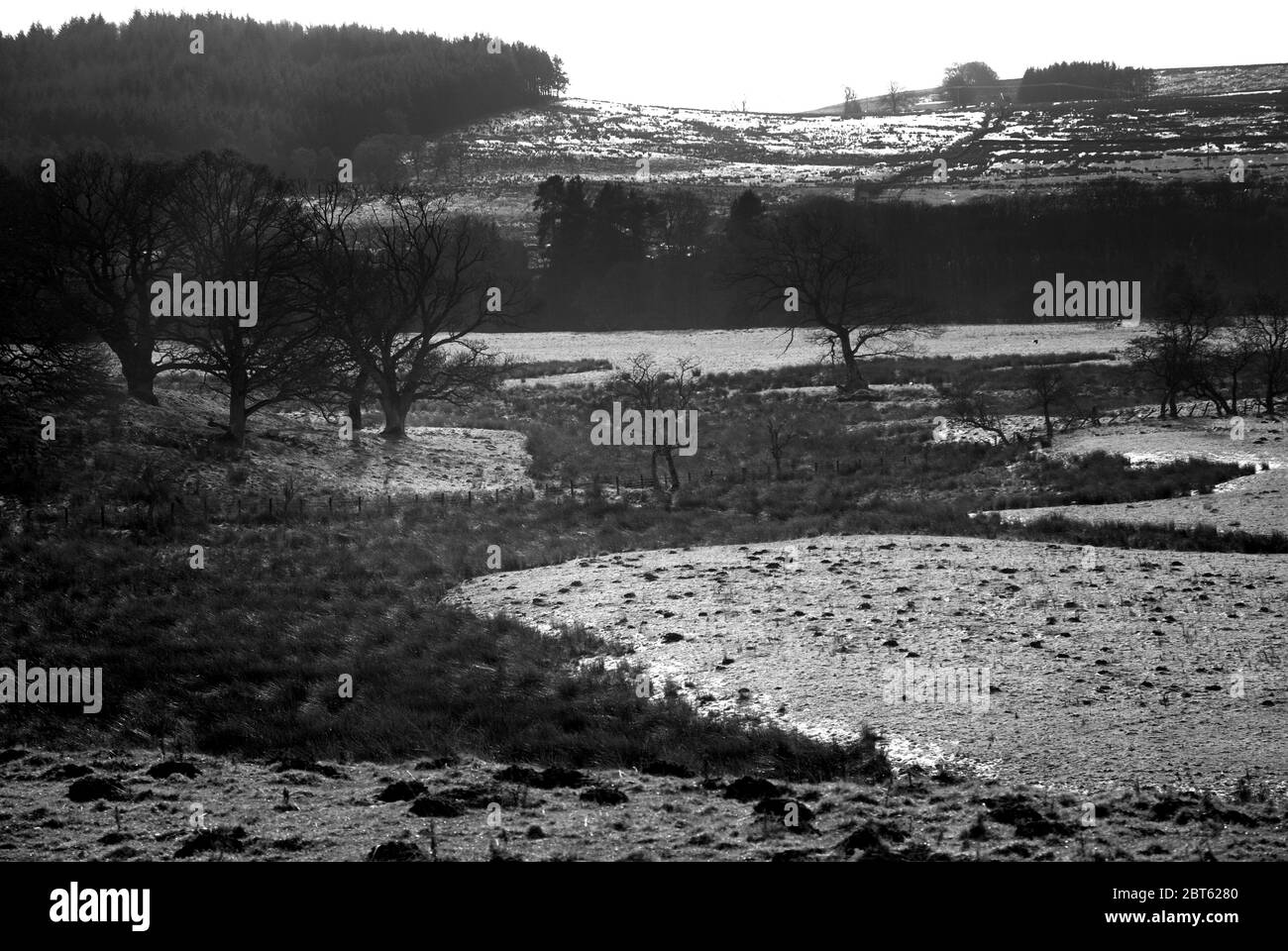 Fields outside Bellingham, Northumberland Stock Photo - Alamy