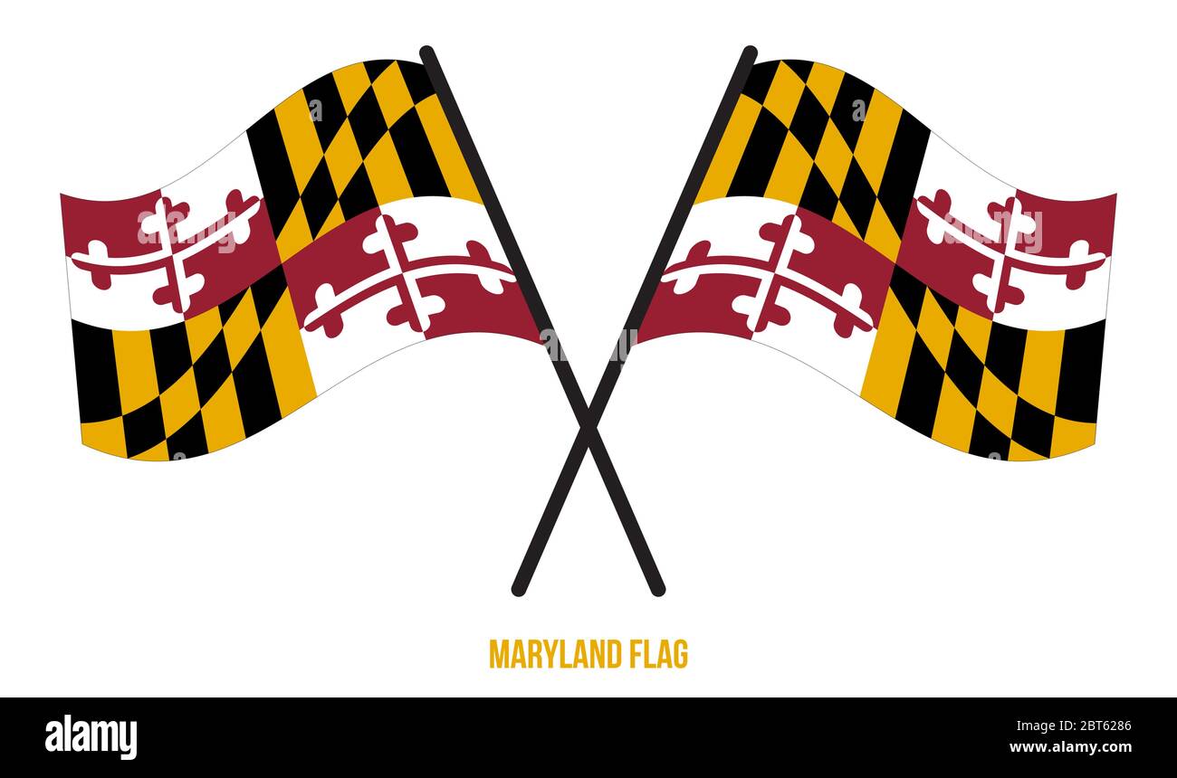 Two Crossed Waving Maryland Flag On Isolated White Background. United ... Two Crossed Waving Maryland Flag On Isolated White Background. United ...