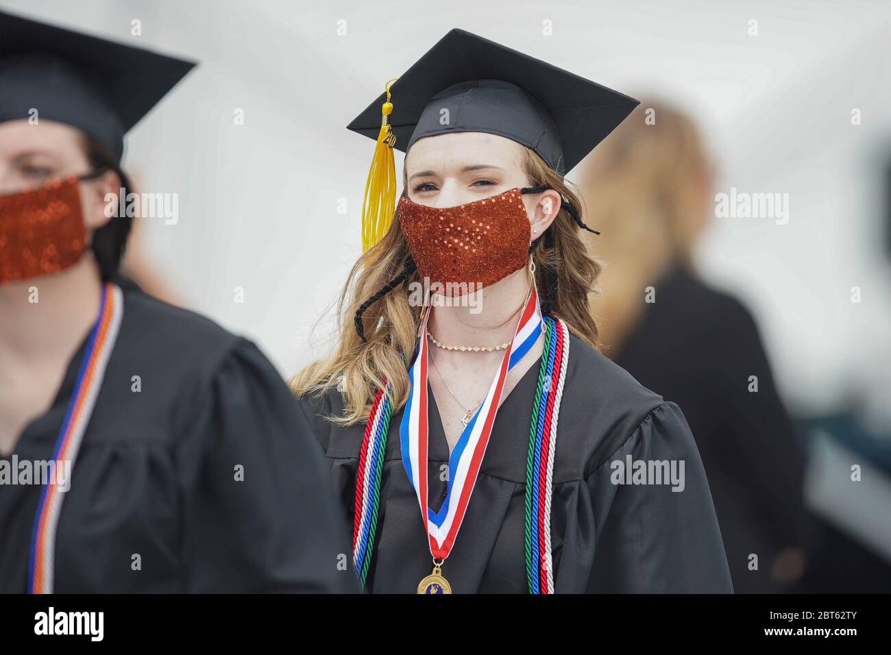 Pisd hi-res stock photography and images - Alamy