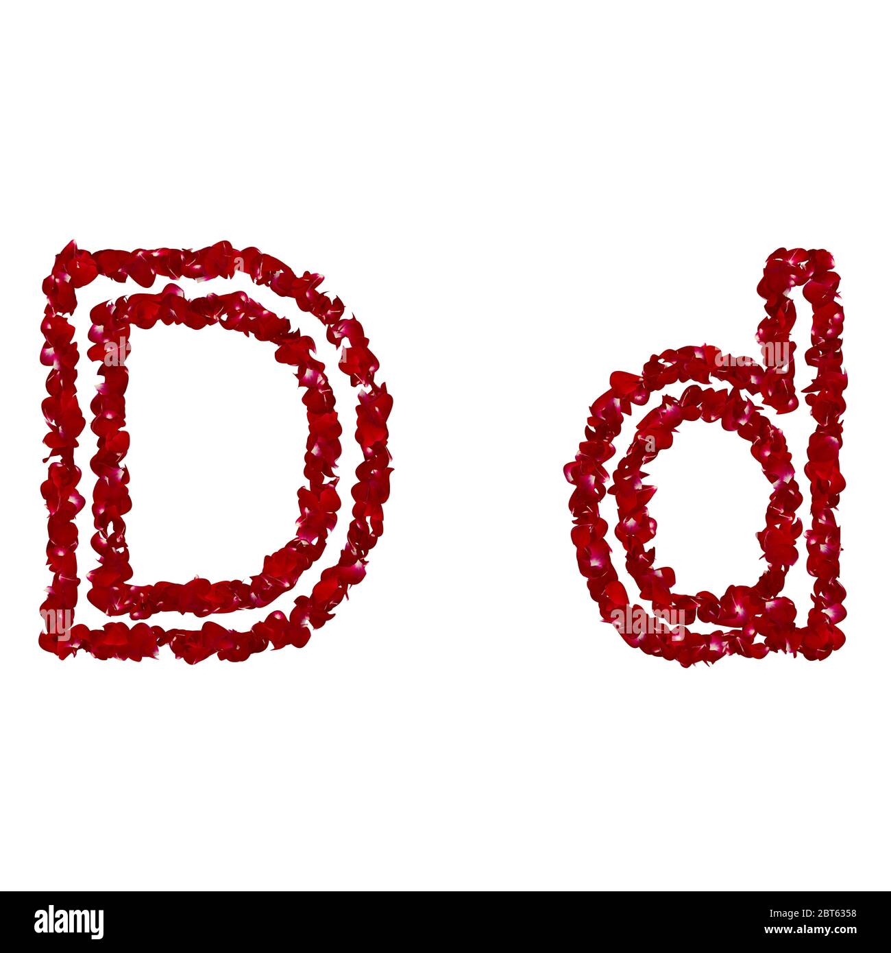 The letter "D" is made of red rose petals. Isolated white background ...