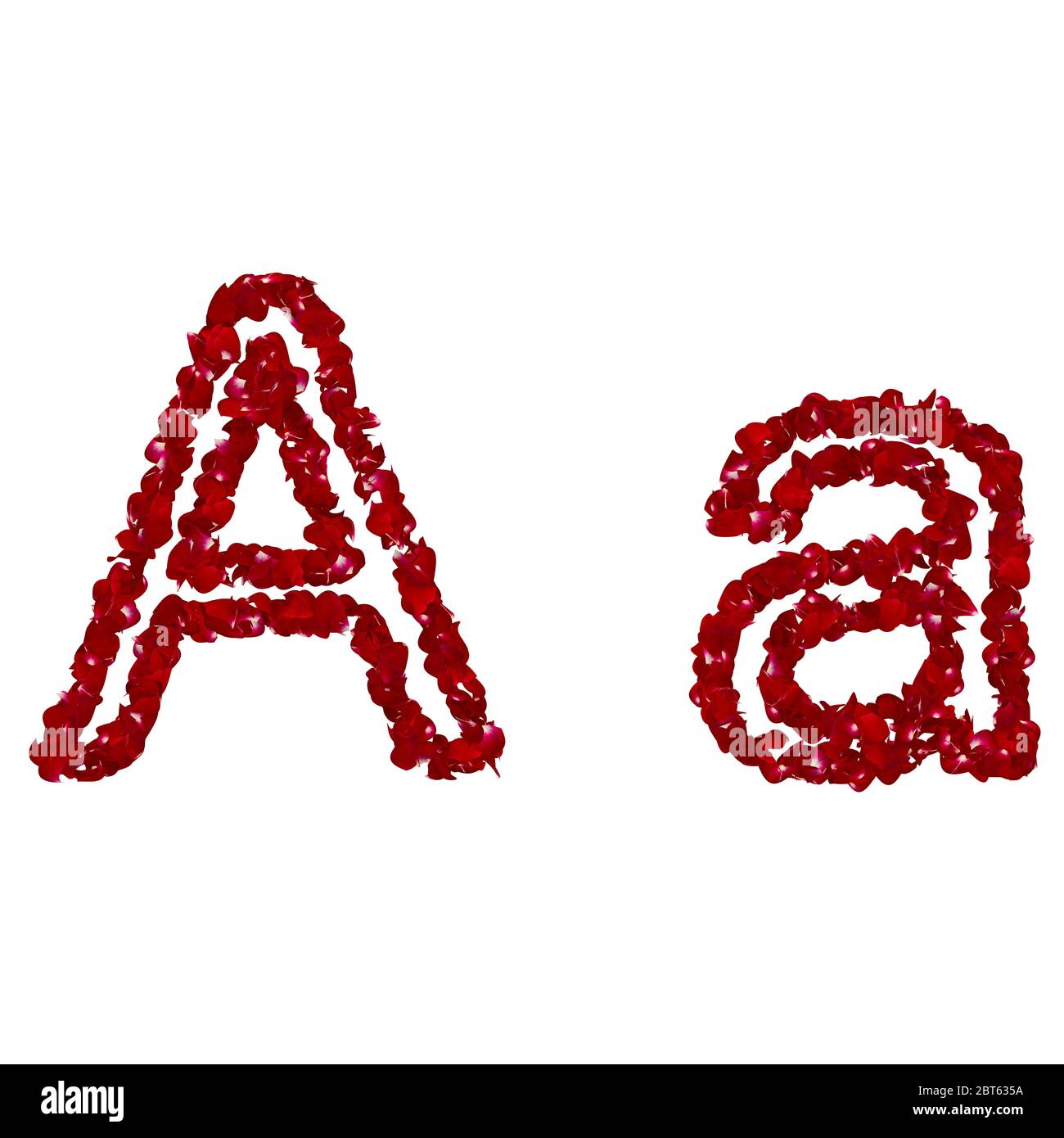 The letter "A" is made of red rose petals. Isolated white background ...