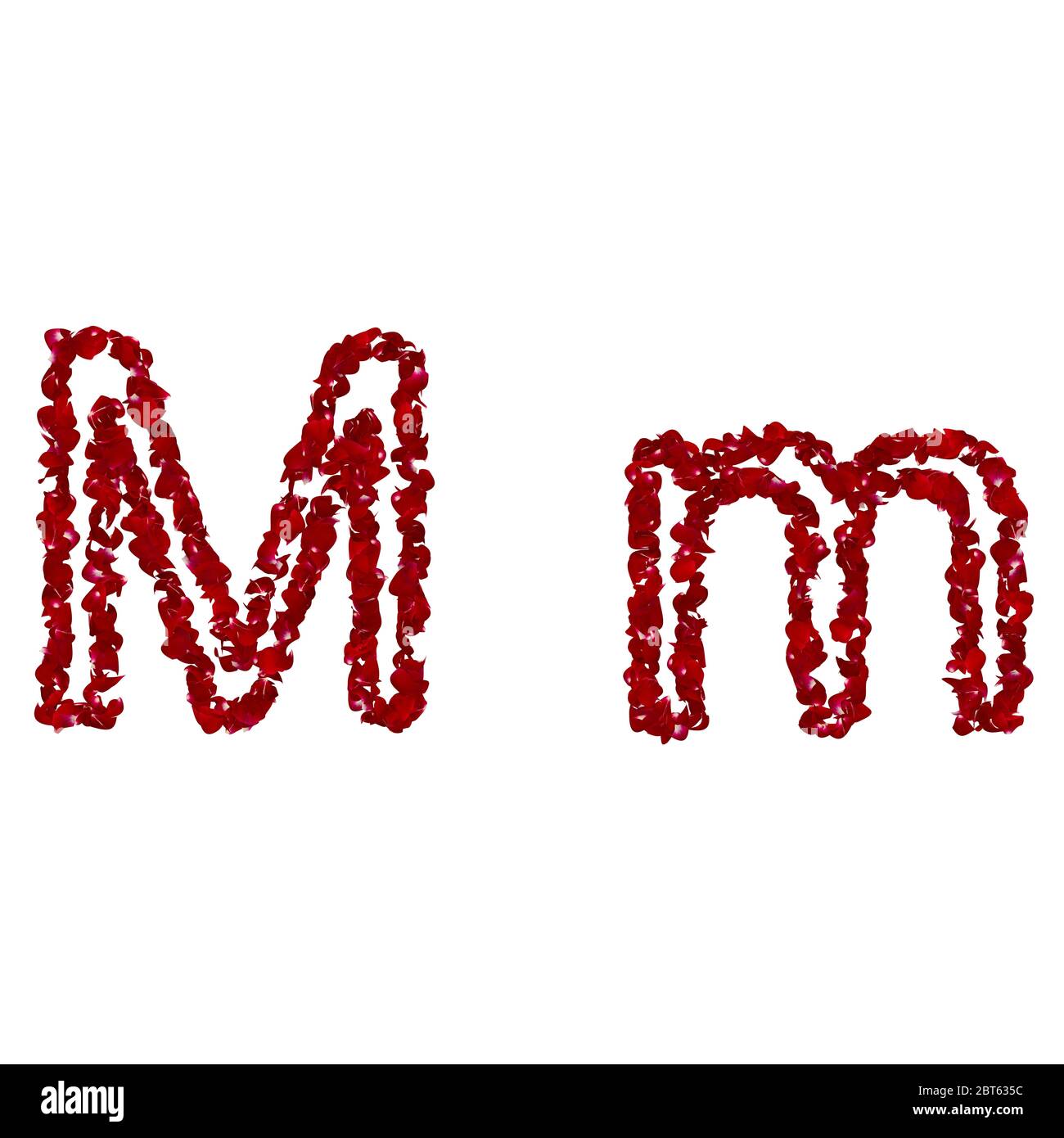 The letter "M" is made of red rose petals. Isolated white background ...