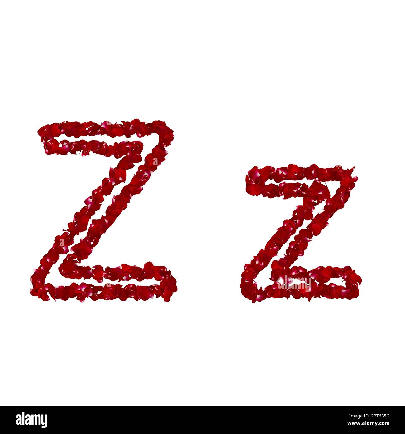 The letter "Z" is made of red rose petals. Isolated white background ...