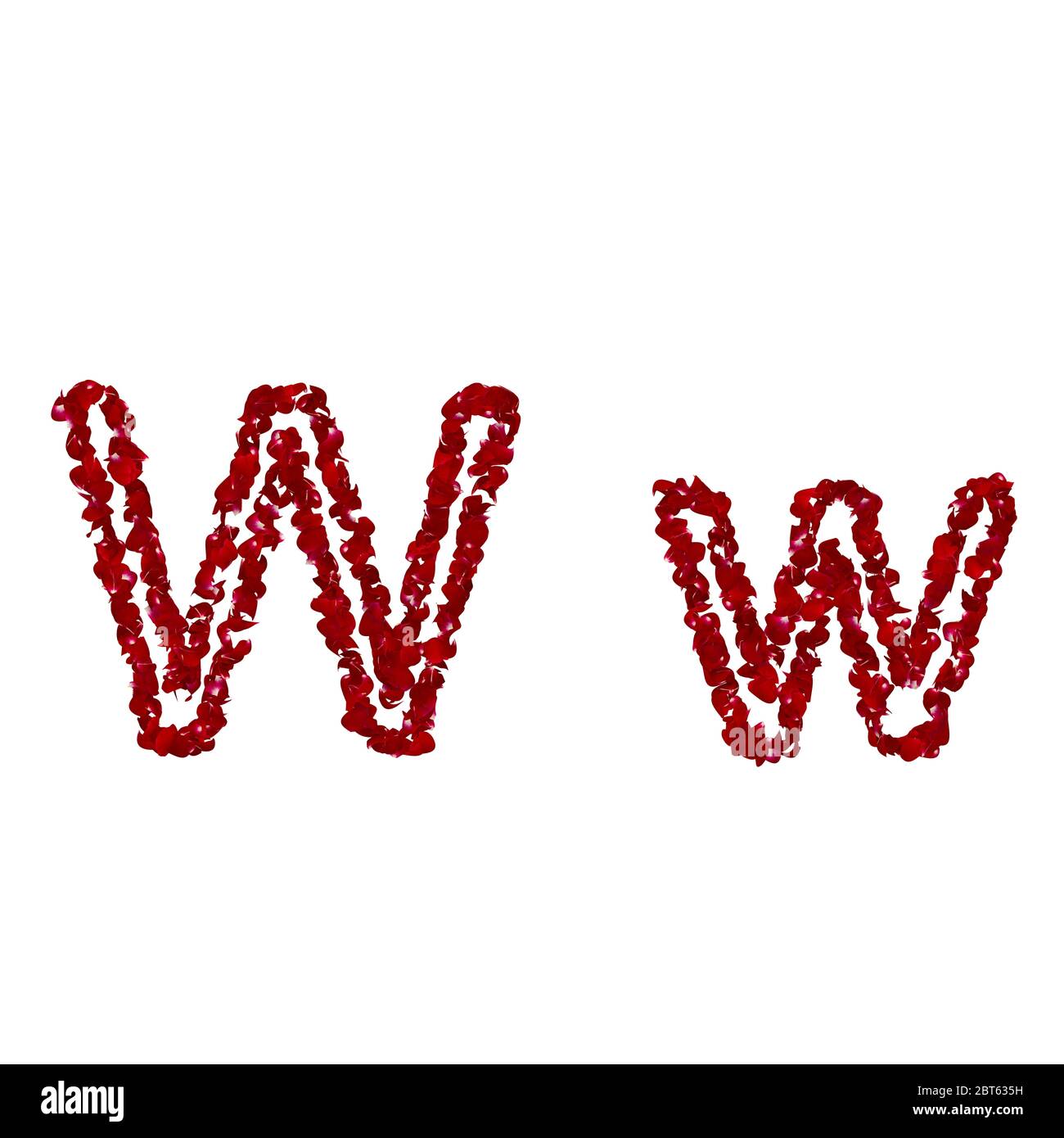The letter "W" is made of red rose petals. Isolated white background ...