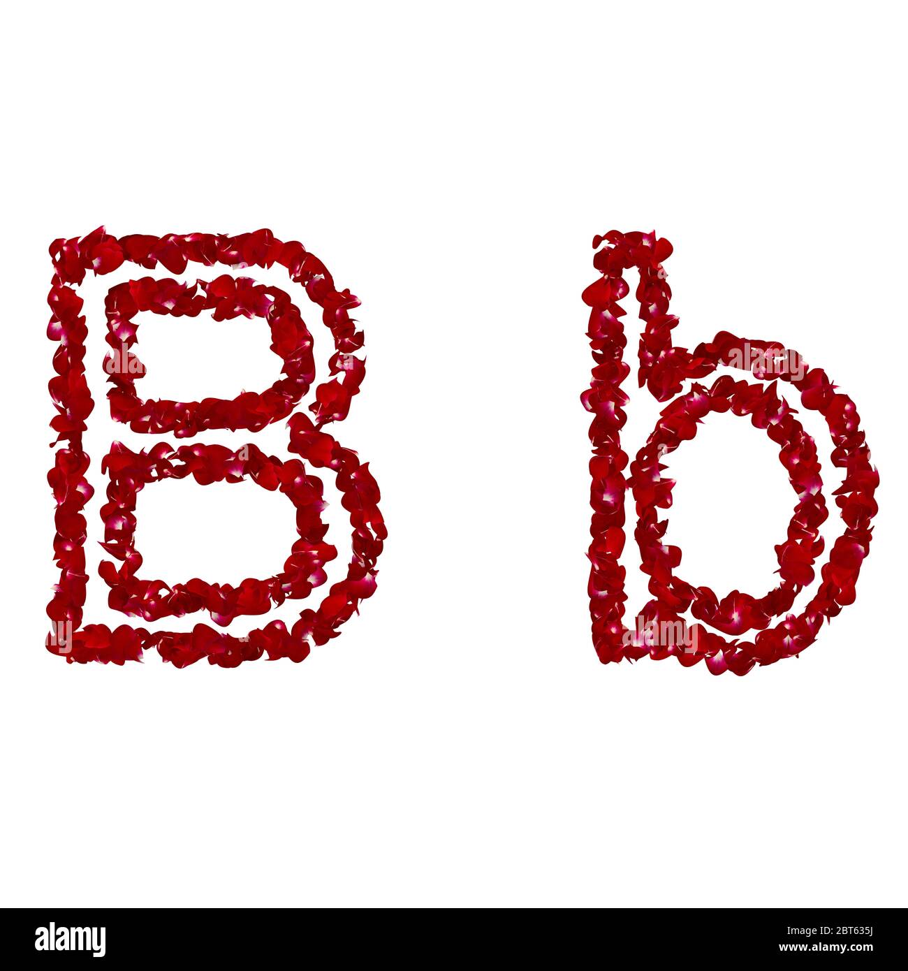 The letter "B" is made of red rose petals. Isolated white background ...