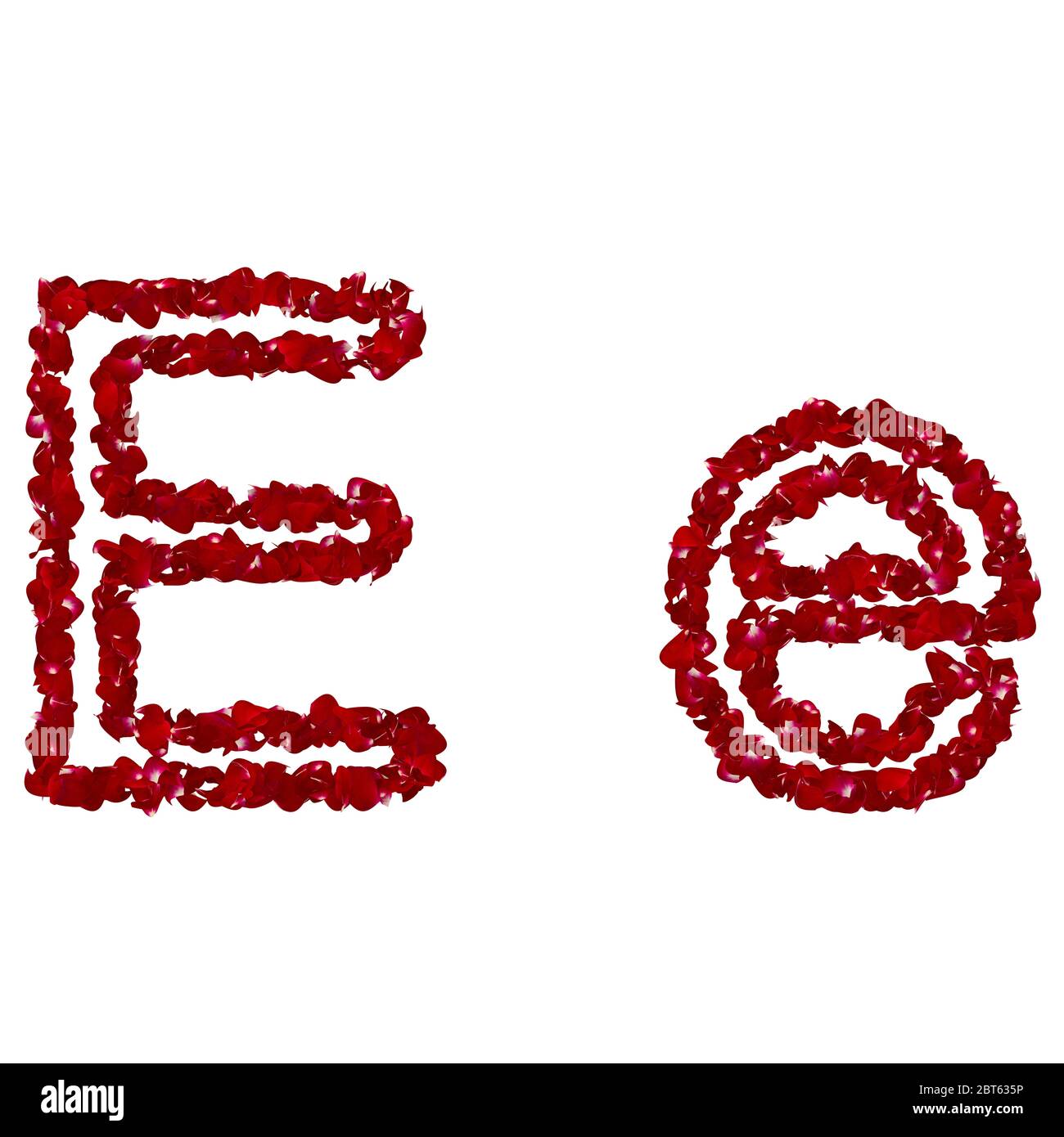 The letter "E" is made of red rose petals. Isolated white background ...